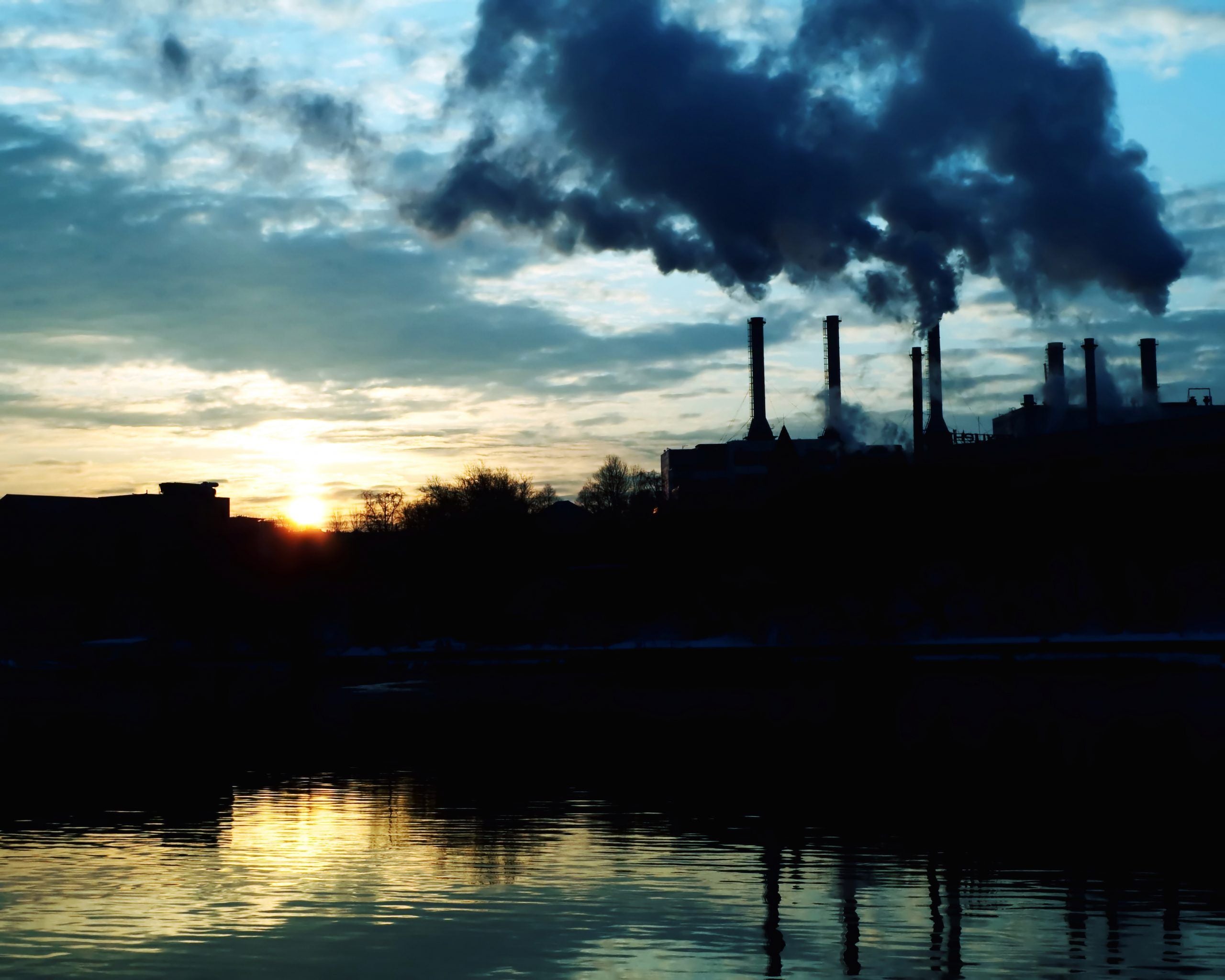 Our bones, our memory, our performance at school. Air pollution affect ...