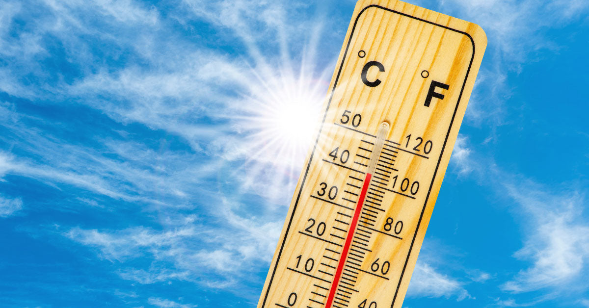 How the U.S. Heat Dome Is Worsening Air Pollution – Austin Air